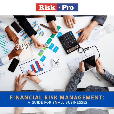 Financial Risk Management: A Guide for Small Businesses | Riskpro India - Connect with Risk ...